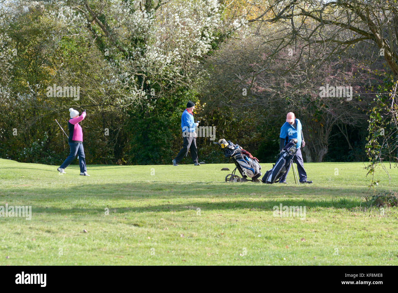 Golfers on a busy gold course in Reigate, Surrey, England Stock Photo ...