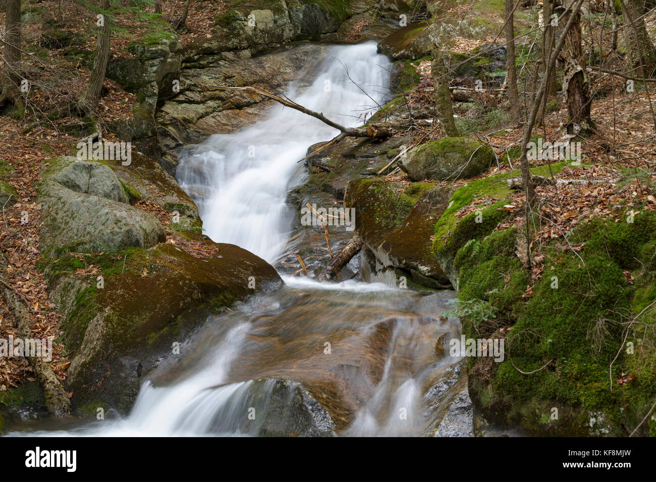 Loon pond mountain cascades hi-res stock photography and images - Alamy