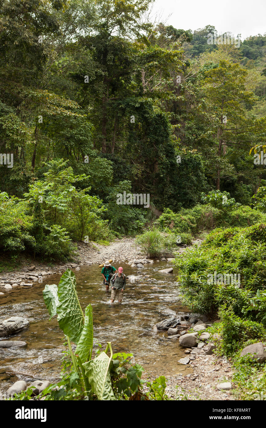 PHILIPPINES, Palawan, Barangay region, hiking through the jungle to ...