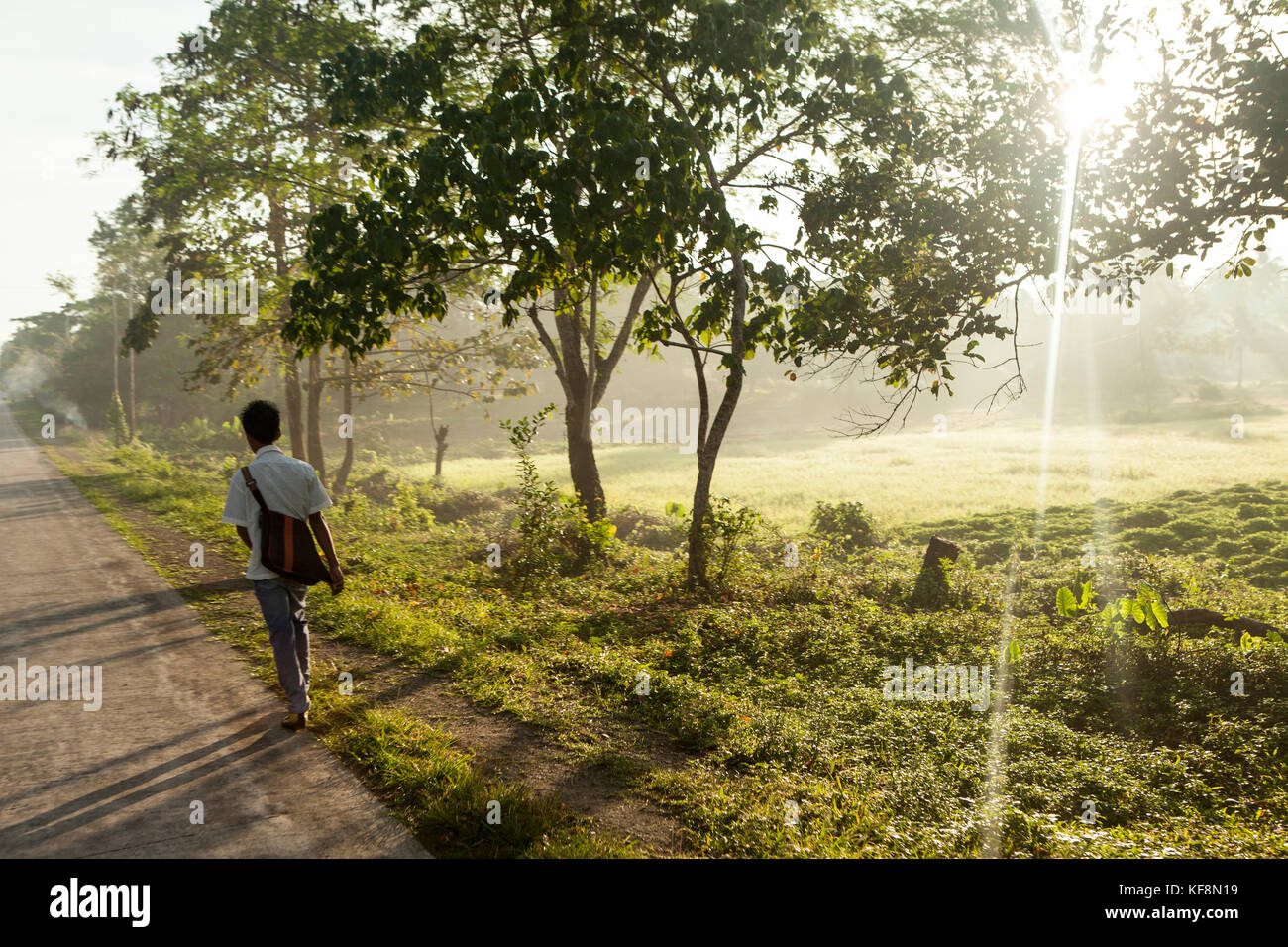PHILIPPINES, Palawan, Sabang, countryside view in the early morning on ...