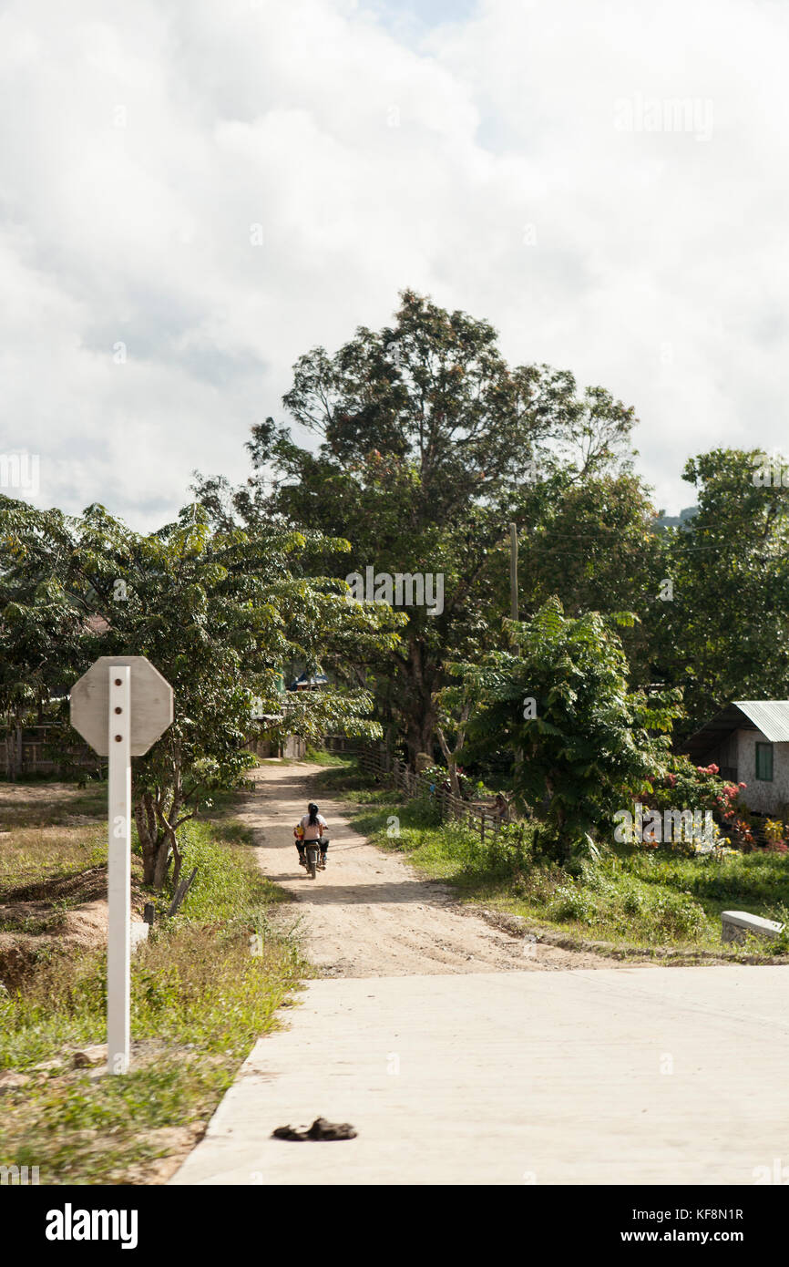PHILIPPINES, Palawan, Sabang, countryside view in the early morning on ...