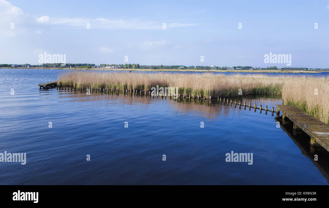 Niederlande, Friesland, Sneek, Typical landscape in Holland with reeds ...