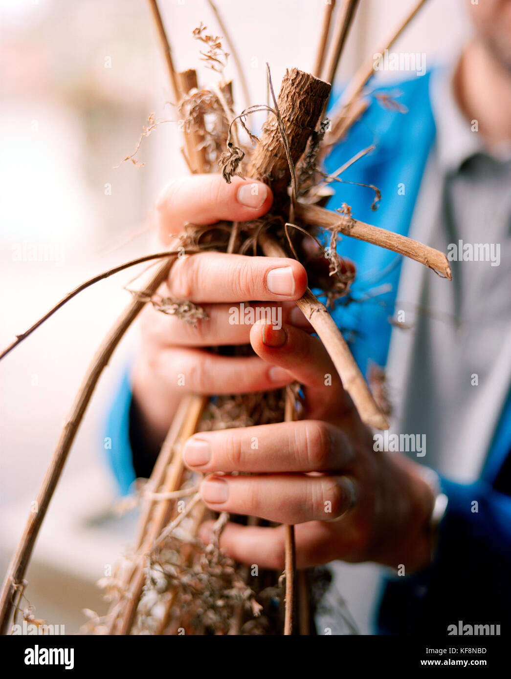 SWITZERLAND, Couvet, Absinthe maker Claude-Alain Bugnon holding ...