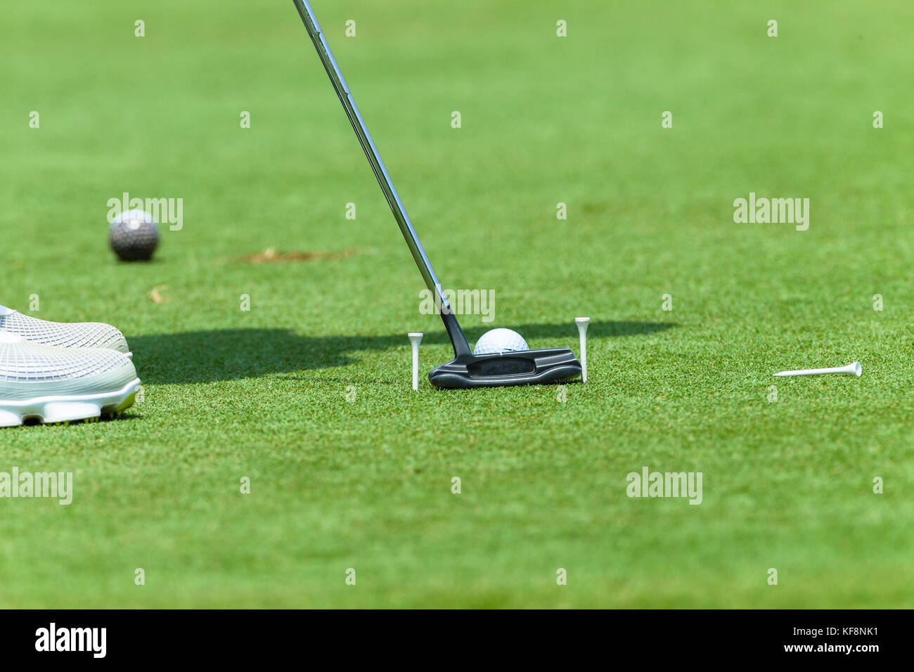 Golf player putting .practice closeup abstract with tee pegs Stock ...