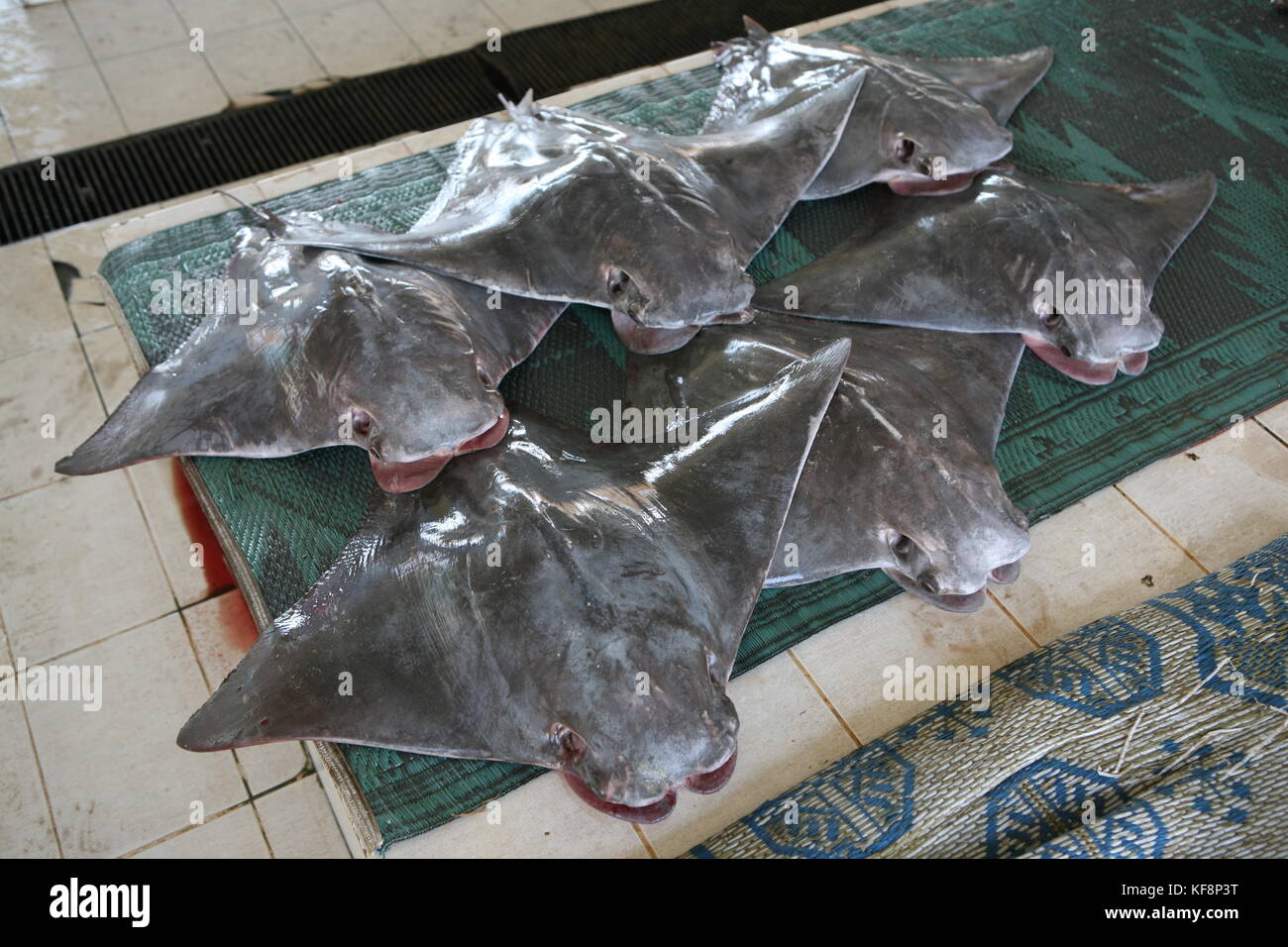 Rochen auf einem arabischen Markt in Muskat- Stingray in an arabic ...