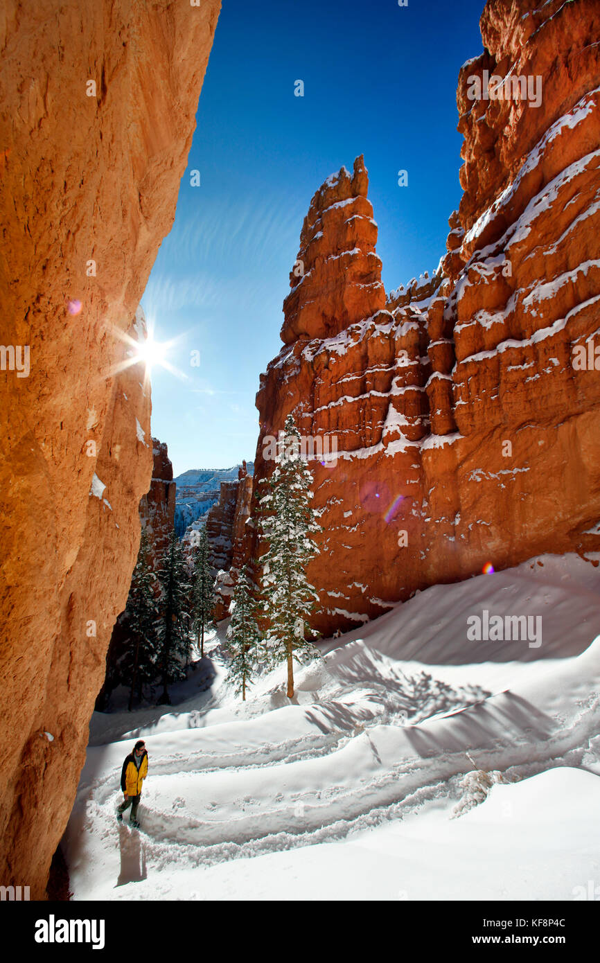 USA, Utah, Bryce Canyon City, Bryce Canyon National Park, walking ...