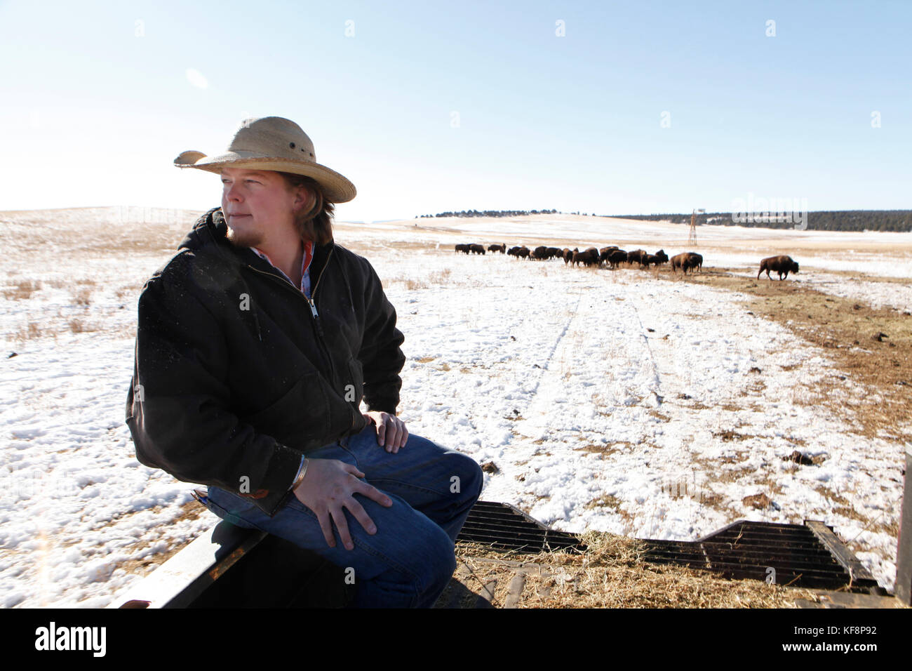 USA, Utah, Zion Mountain Ranch located on the Zion-Mount Carmel Highway ...