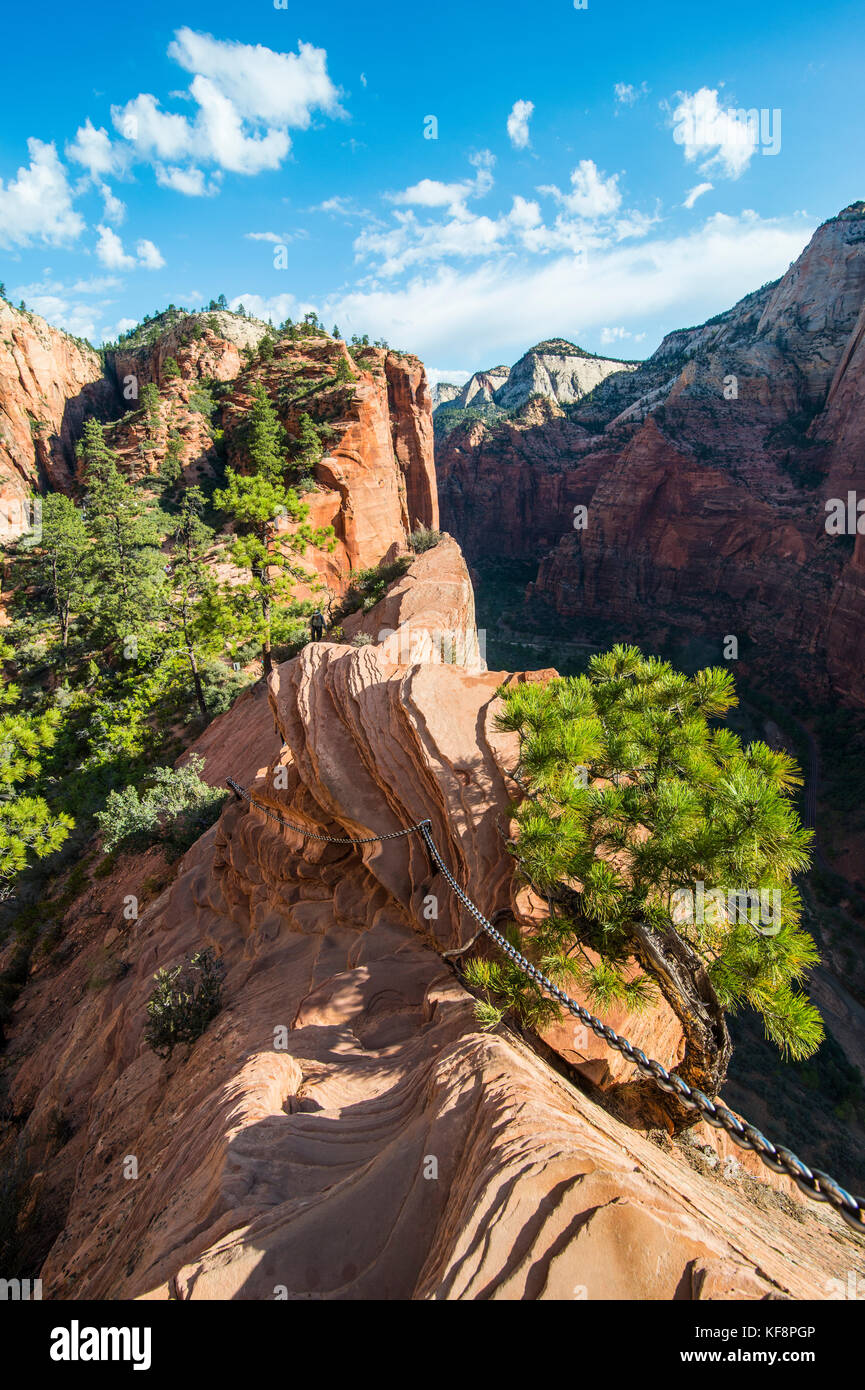 Narrow edge leading to Angel´s landing, Zion National Park, Utah, USA ...