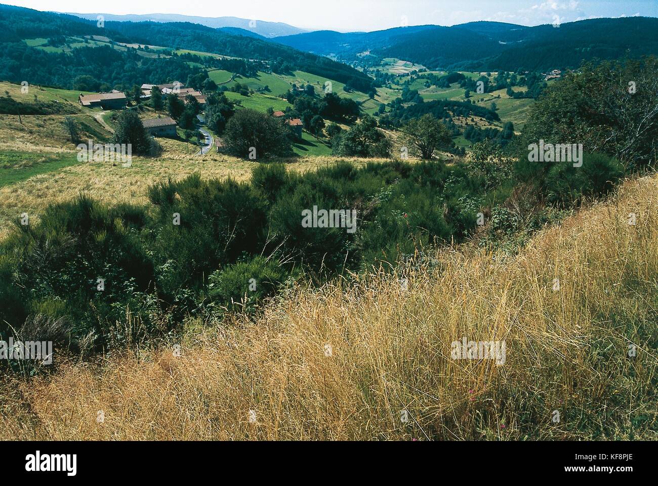 Forez Stock Photos & Forez Stock Images - Alamy