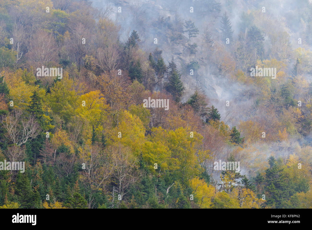 Lost river gorge new hampshire hi-res stock photography and images - Alamy