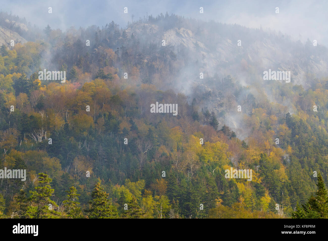 Lost river gorge new hampshire hi-res stock photography and images - Alamy