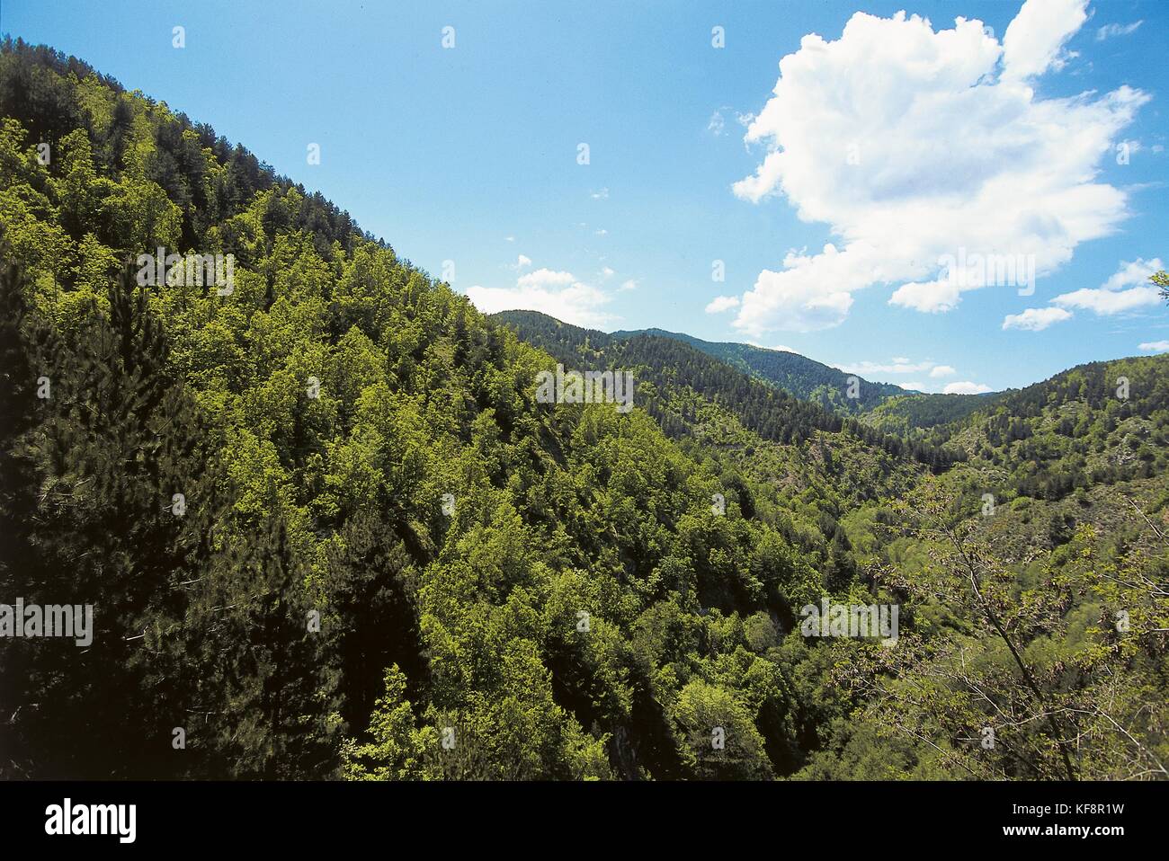 Italy, Calabria Region, Sila National Park, The Sila Piccola, Landscape ...