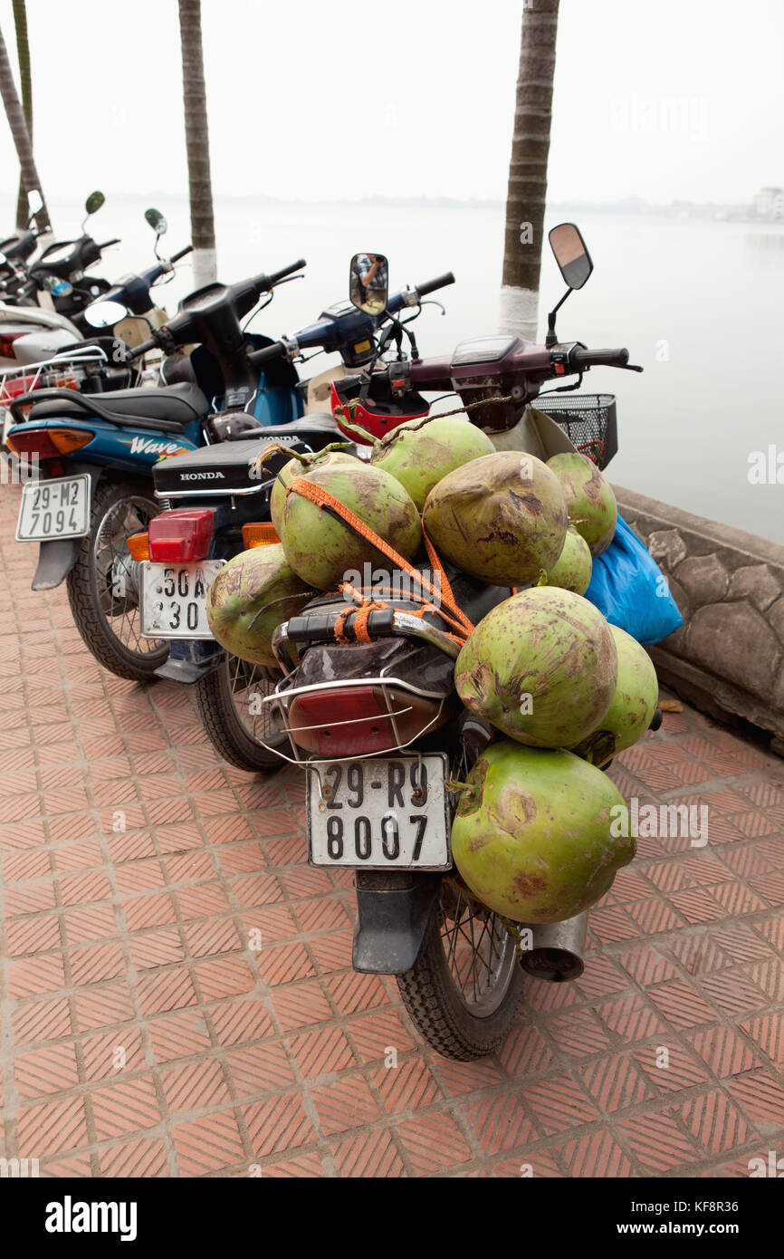 VIETNAM, Hanoi, a moped is loaded down with coconuts at the Tran Quoc ...