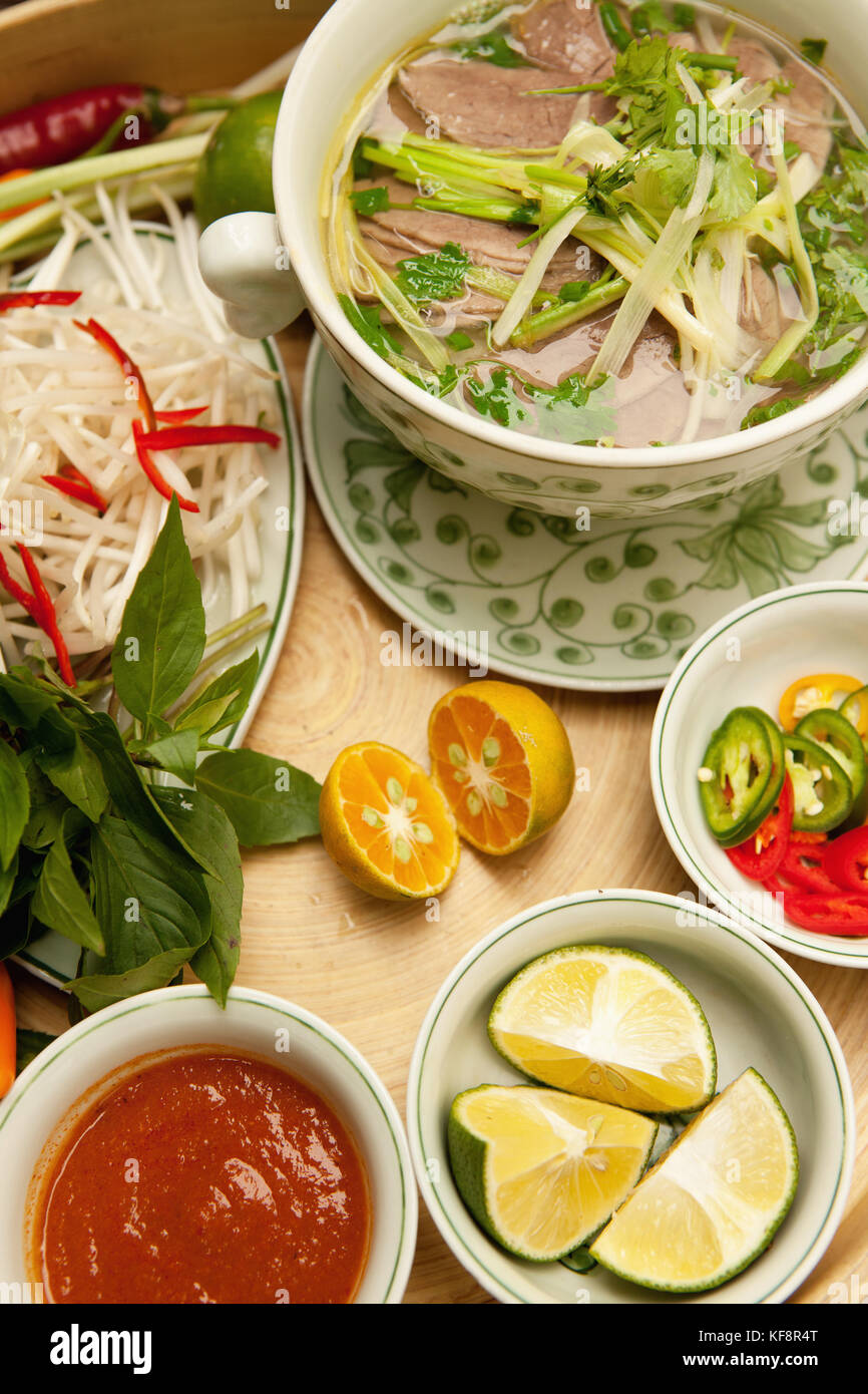 VIETNAM, Hanoi, Sofitel Metropole Hotel, beef pho noodle soup with ...