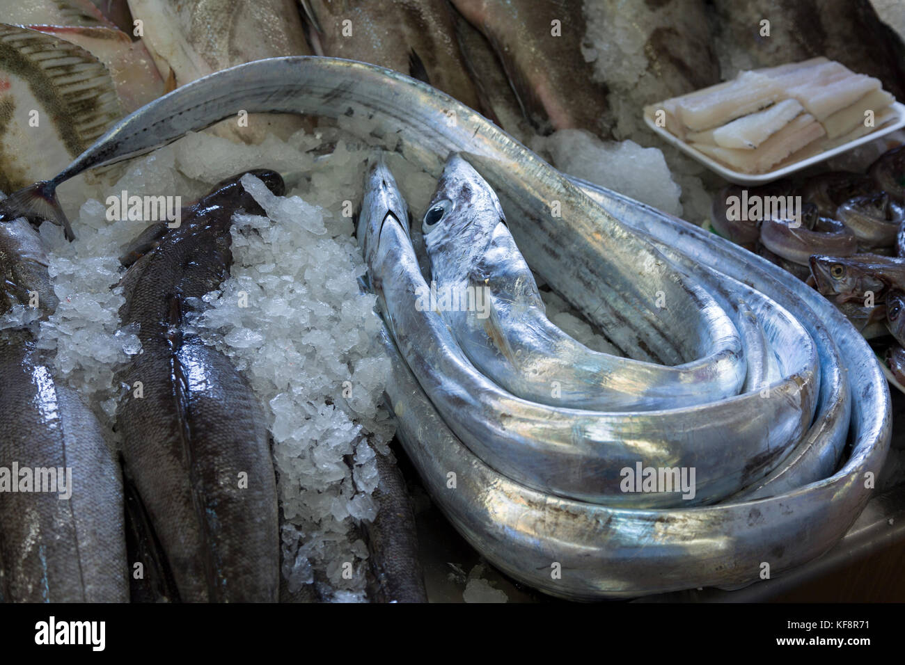 Silver scabbard fish hi-res stock photography and images - Alamy