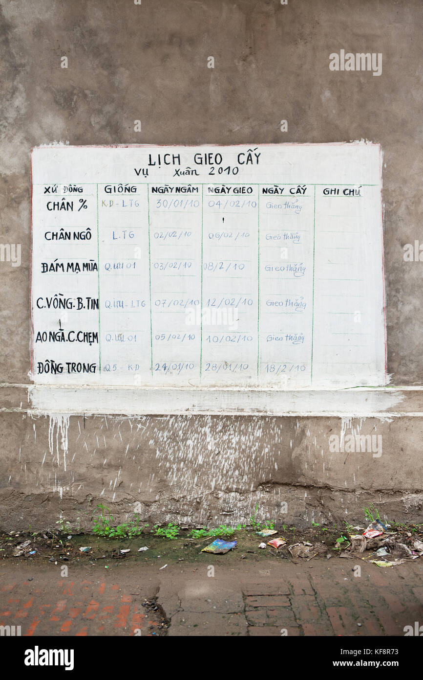 VIETNAM, Hanoi, Countryside, a rice planting and harvesting calendar is ...