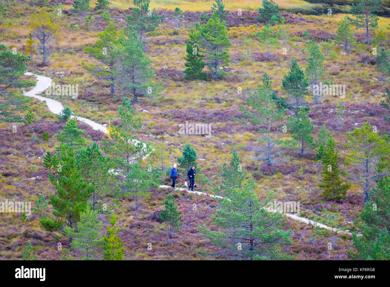 Walkers walking along a gravel path amongst the wildernes and Autumn ...
