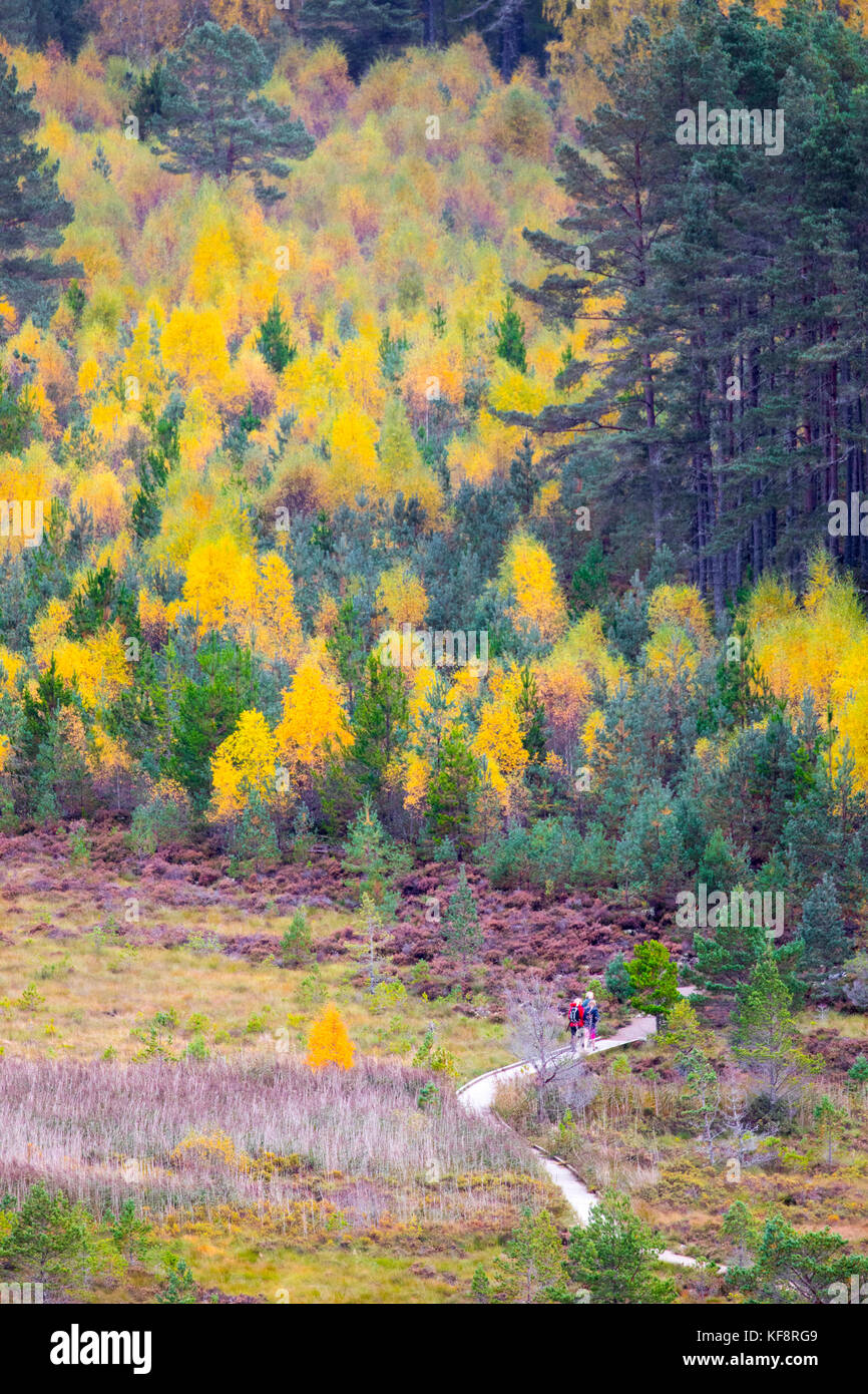 Walkers walking along a gravel path amongst the wildernes and Autumn ...