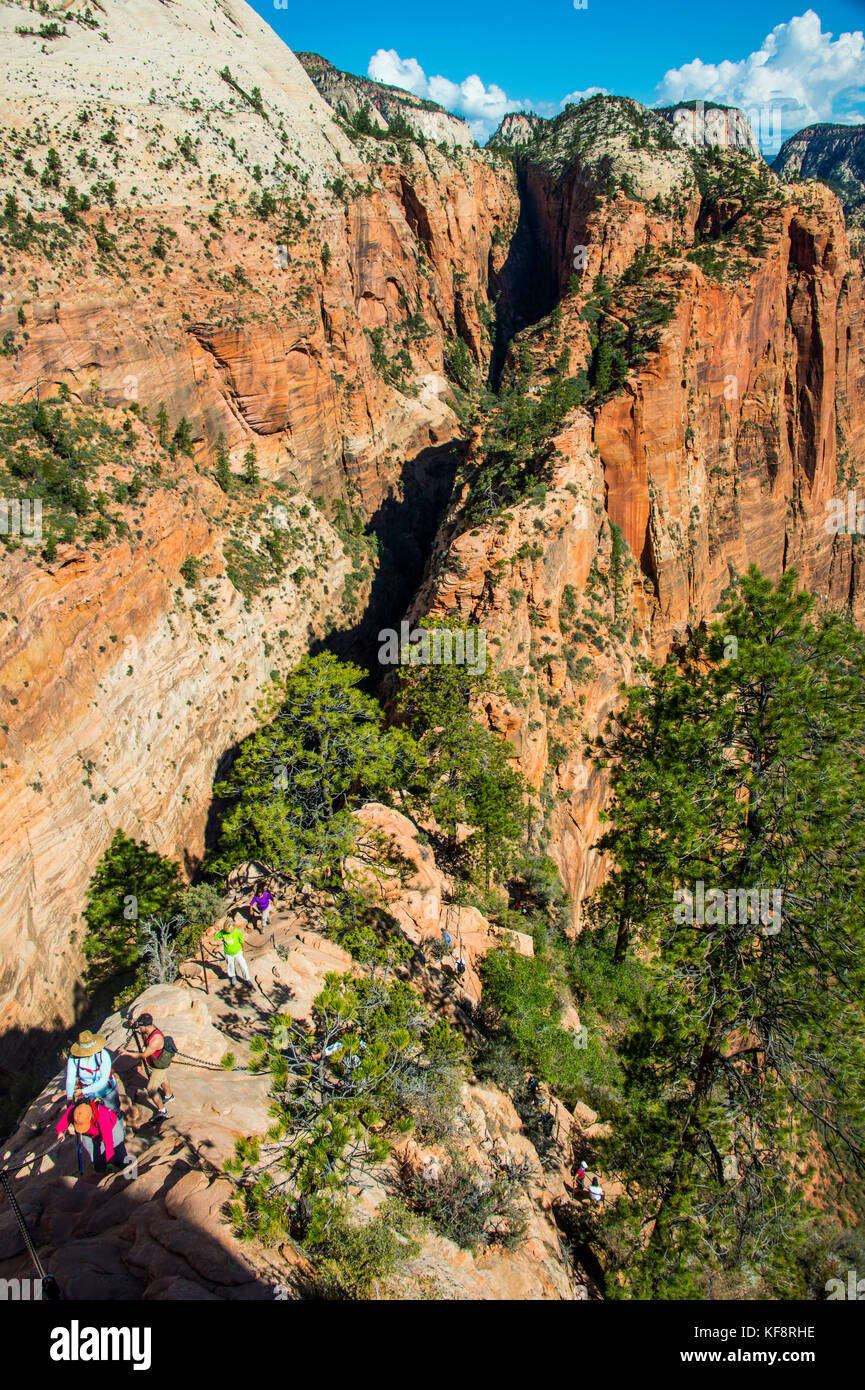 Hiker walking over the narrow edge of Angel´s landing, Zion National ...