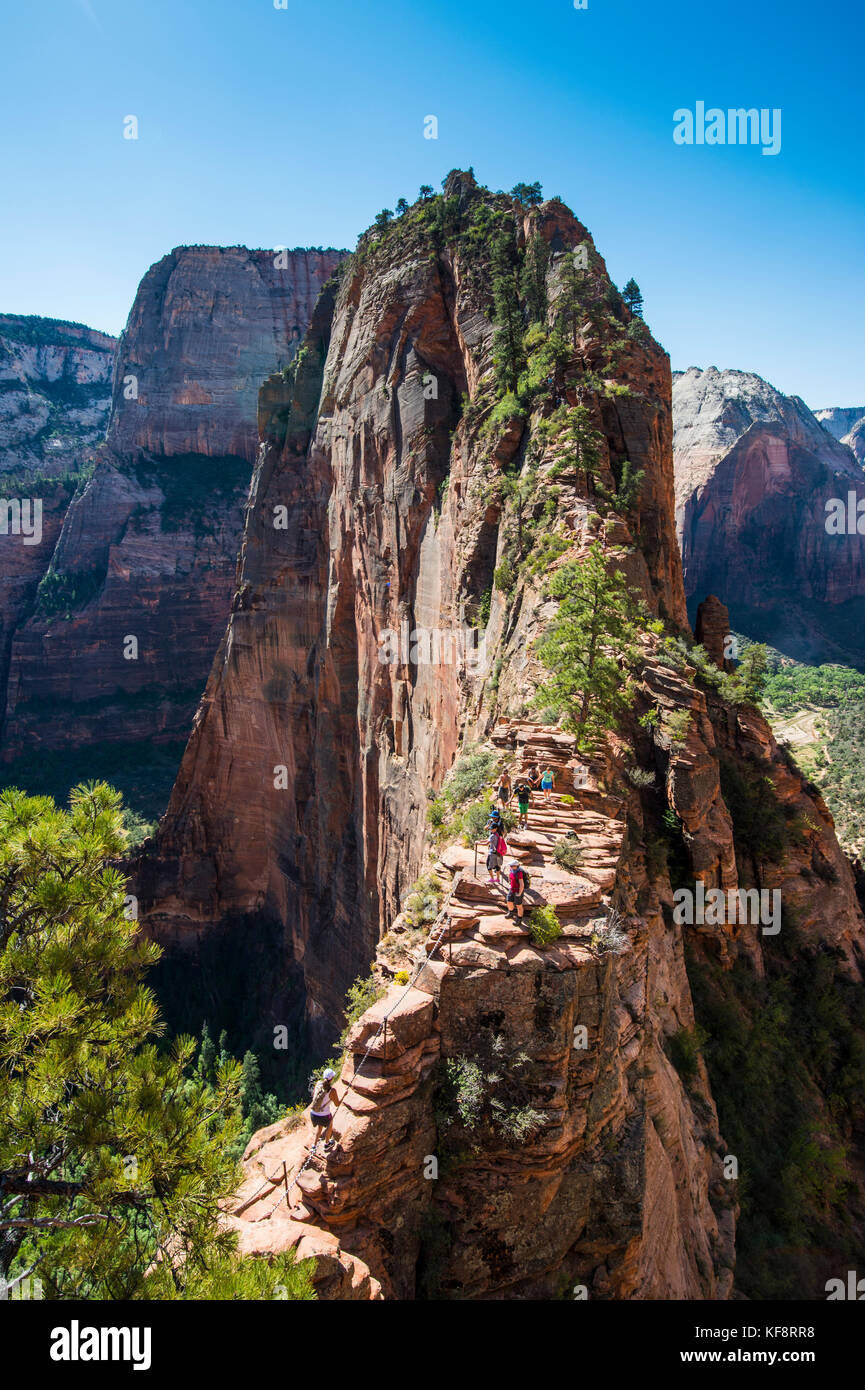 Narrow edge leading to Angel´s landing, Zion National Park, Utah, USA ...