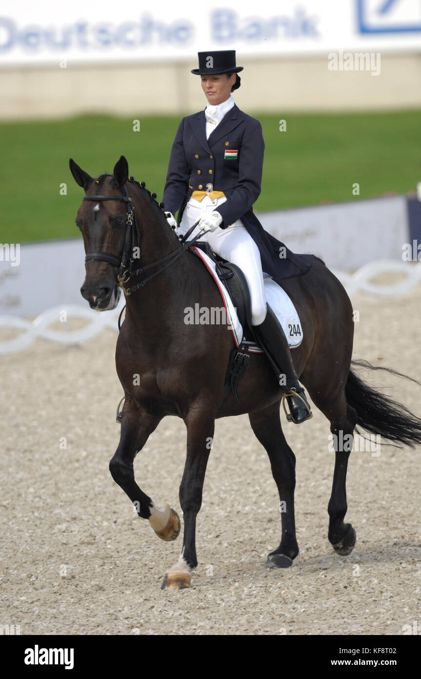 Horse and rider leonardo hi-res stock photography and images - Alamy