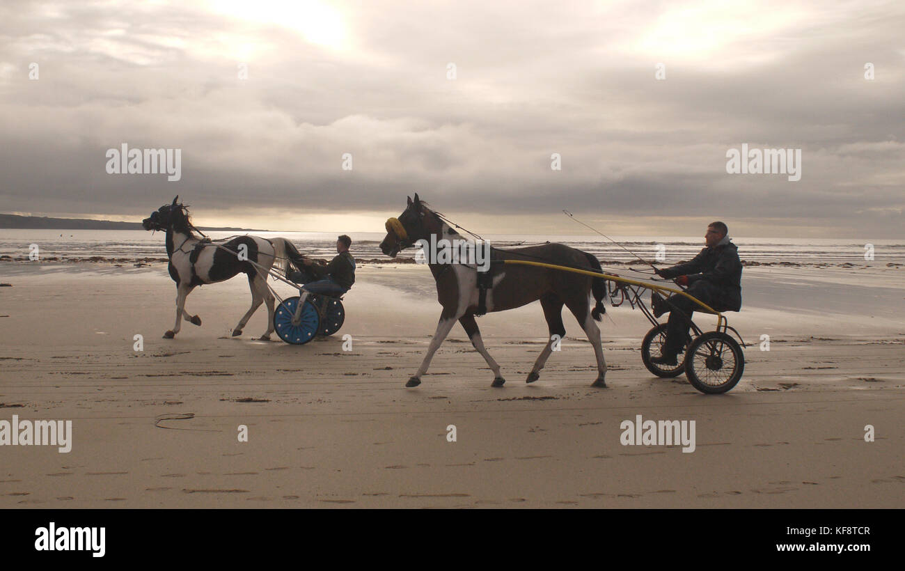 Tandem horse trap on a beach in Ireland. A horse and cart go up and ...