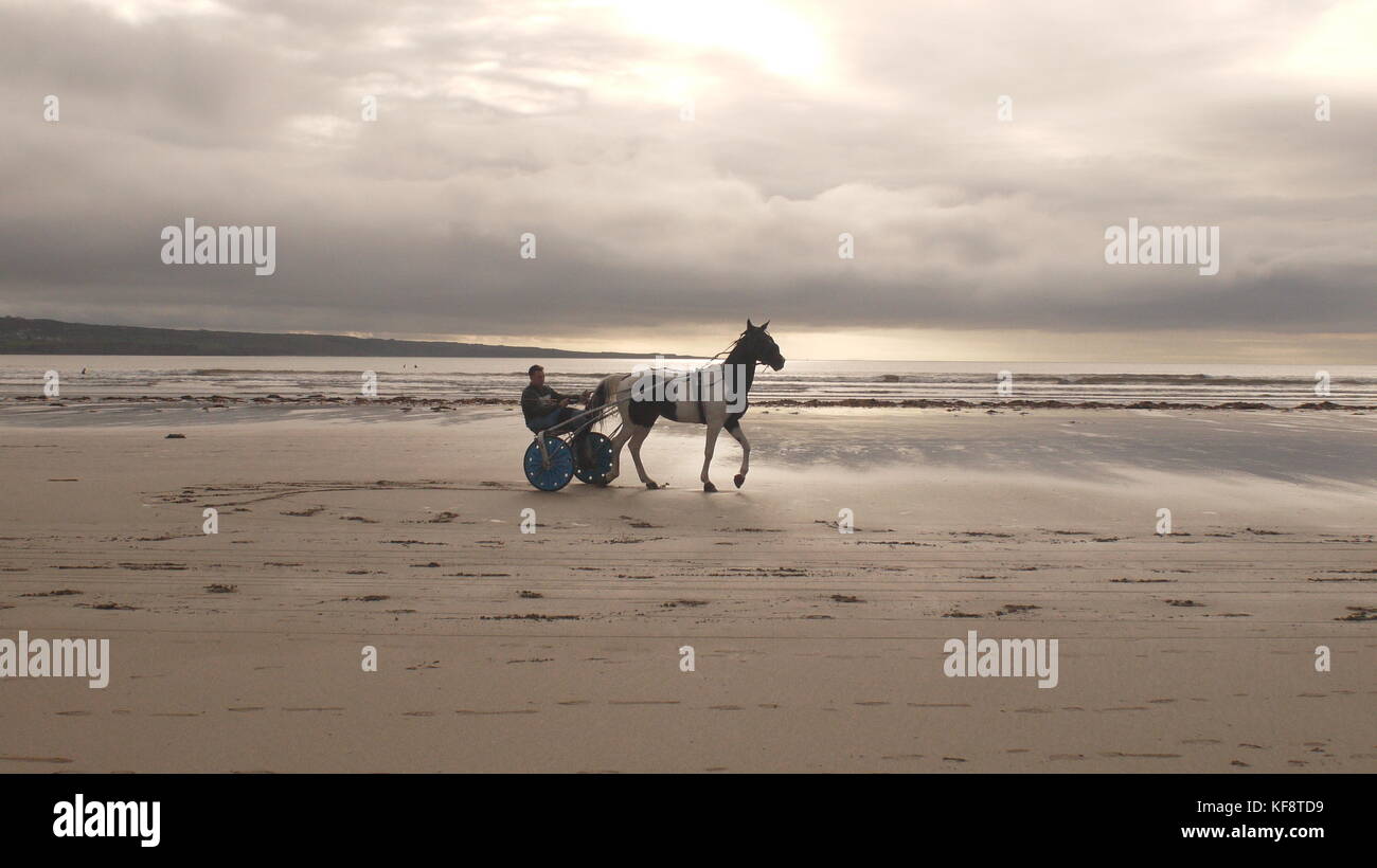 Tandem horse trap on a beach in Ireland. A horse and cart go up and ...