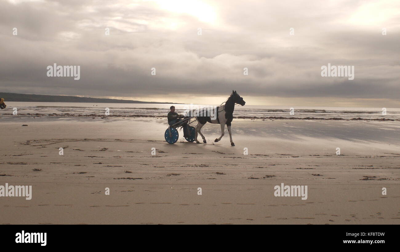 Tandem horse trap on a beach in Ireland. A horse and cart go up and ...