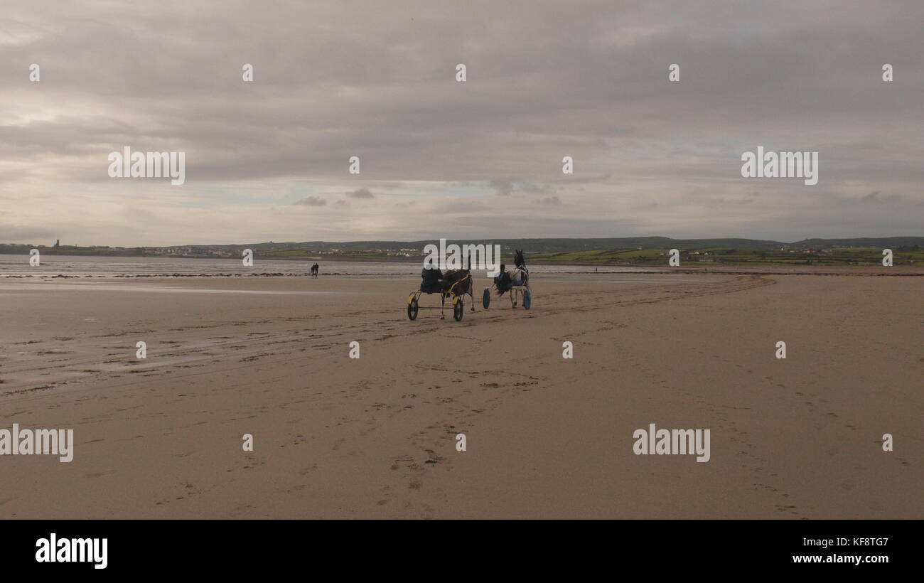 Tandem horse trap on a beach in Ireland. A horse and cart go up and ...