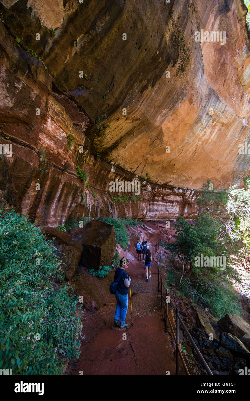 Overhanging rock at the Emerald pools in the Zion National Park, Utah, USA Stock Photo - Alamy