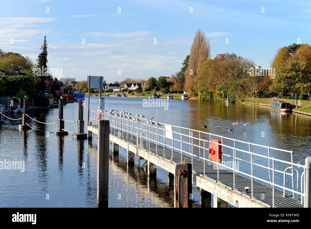 The River Thames at Laleham Surrey in the Autumn UK Stock Photo - Alamy