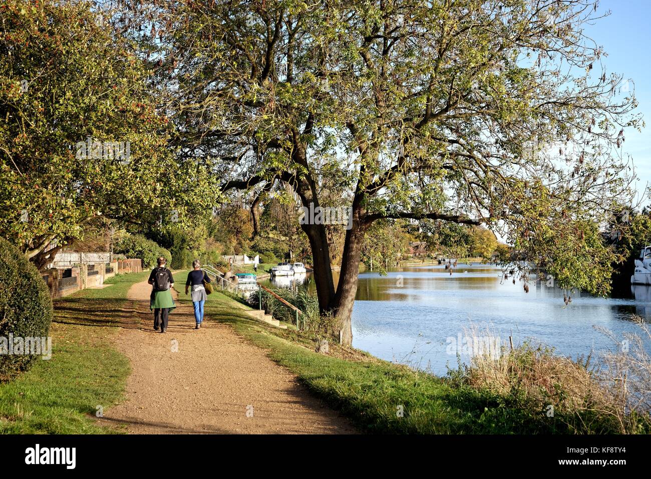 The River Thames at Laleham Surrey in the Autumn UK Stock Photo - Alamy