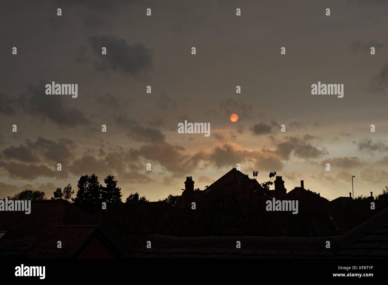 Dramatic red sky and sun caused by dust in the atmosphere from the ...