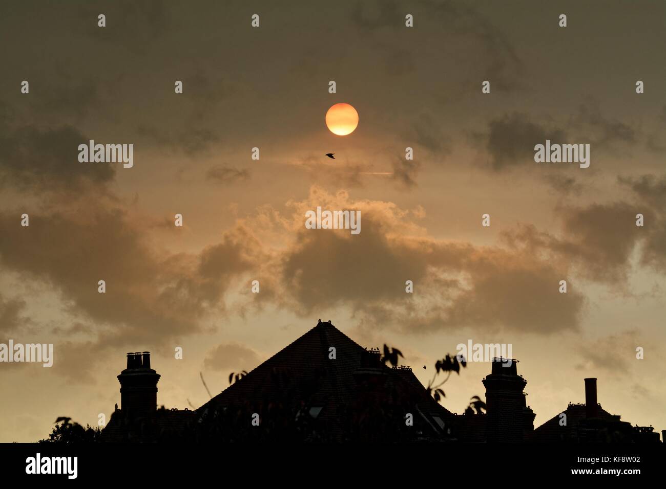 Dramatic red sky and sun caused by dust in the atmosphere from the ...