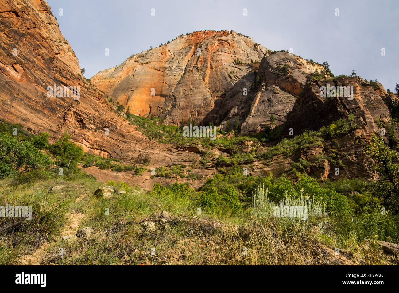 The towering cliffs of the Zion National Park, Utah, USA Stock Photo ...