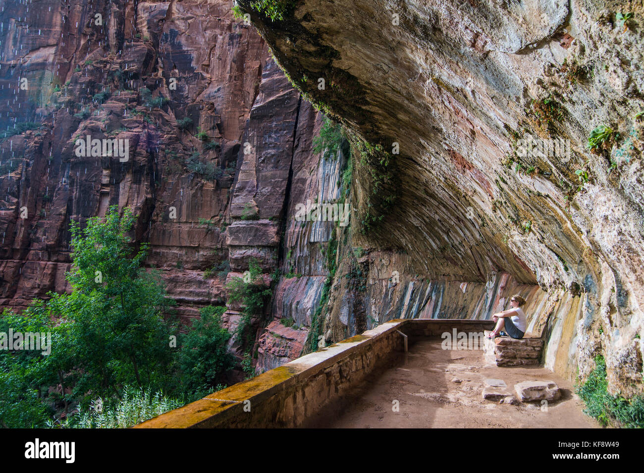 The weeping rock, a huge overlook in the Zion National Park, Utah, USA ...