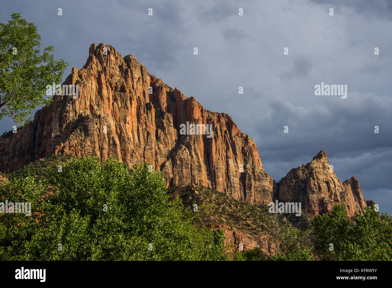 Late sunlight glowing on the rocks of the Zion National Park, Utah, USA ...