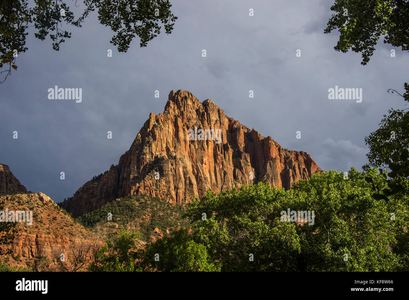 Late sunlight glowing on the rocks of the Zion National Park, Utah, USA ...