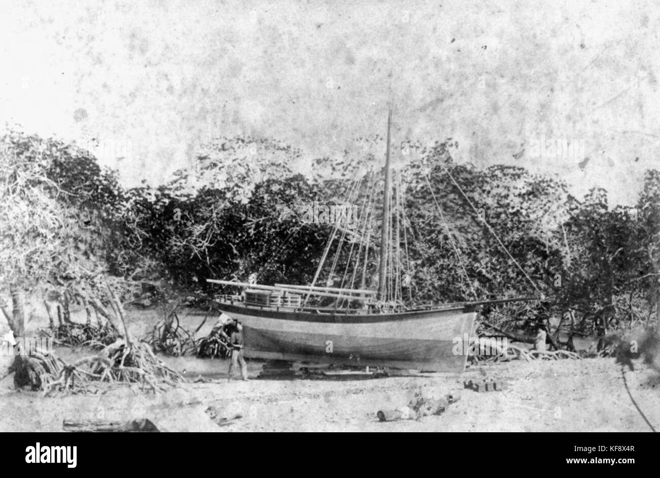 1 114220 Forest Queen (ship Stock Photo - Alamy