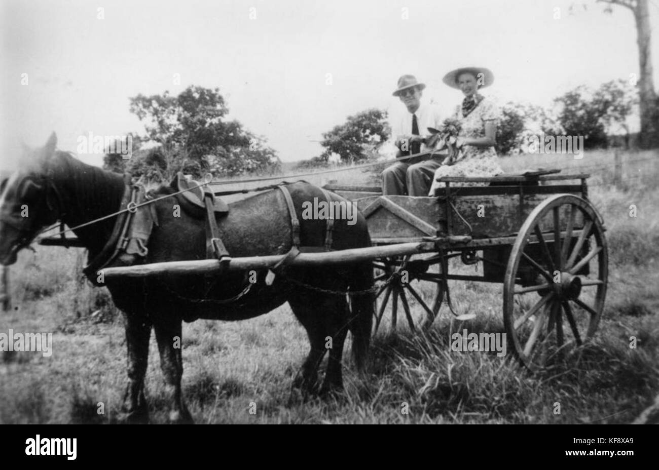 1 138268 James Wieneke in a horse and buggy on the Kidd property ...