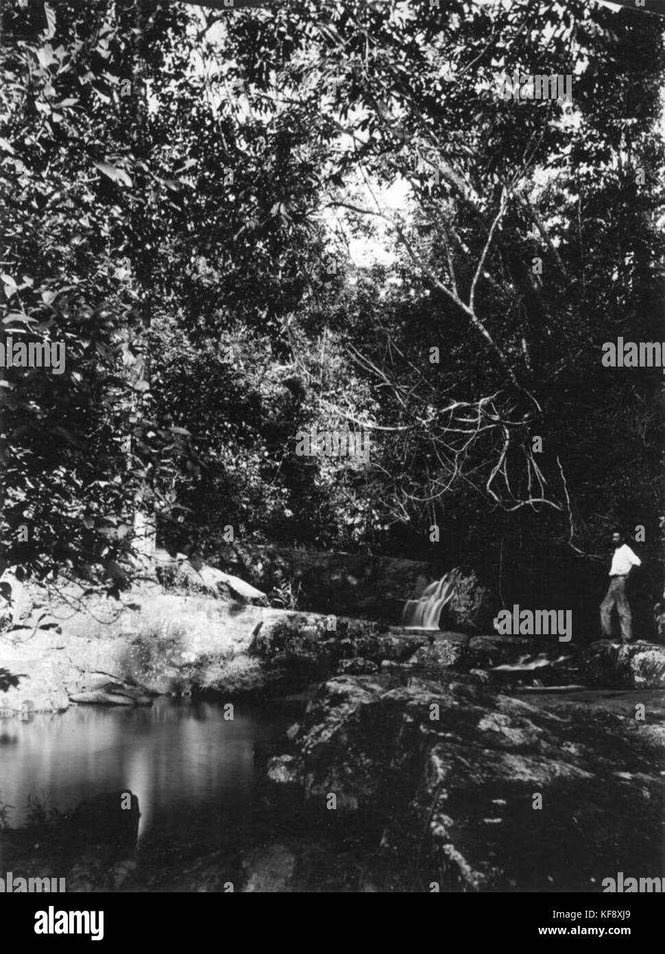 1 103366 Still pools at Mervyn Creek near Cairns, North Queensland, ca ...