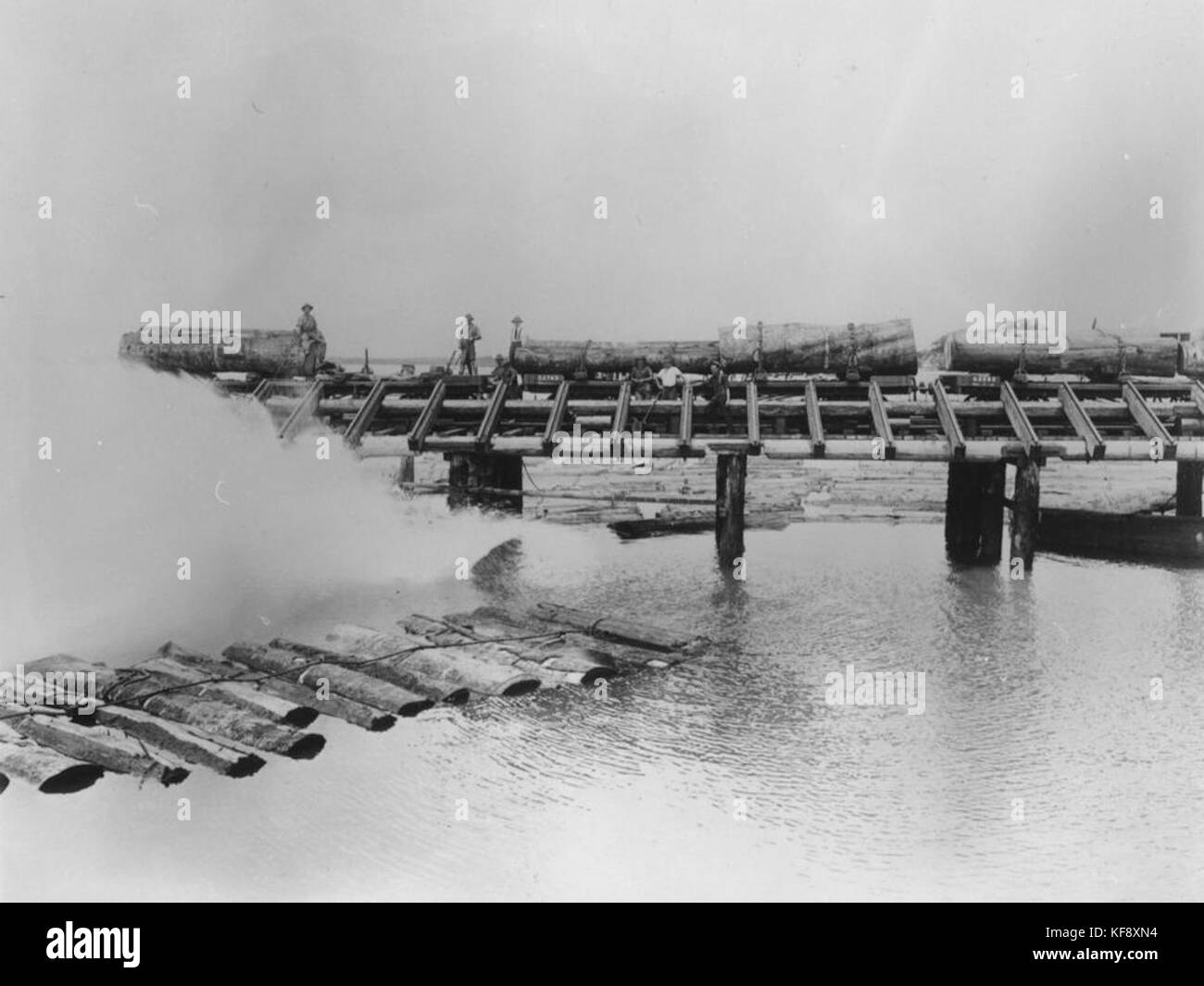1 102344 Log race with timber at the Cairns Wharf, ca. 1925 Stock Photo ...