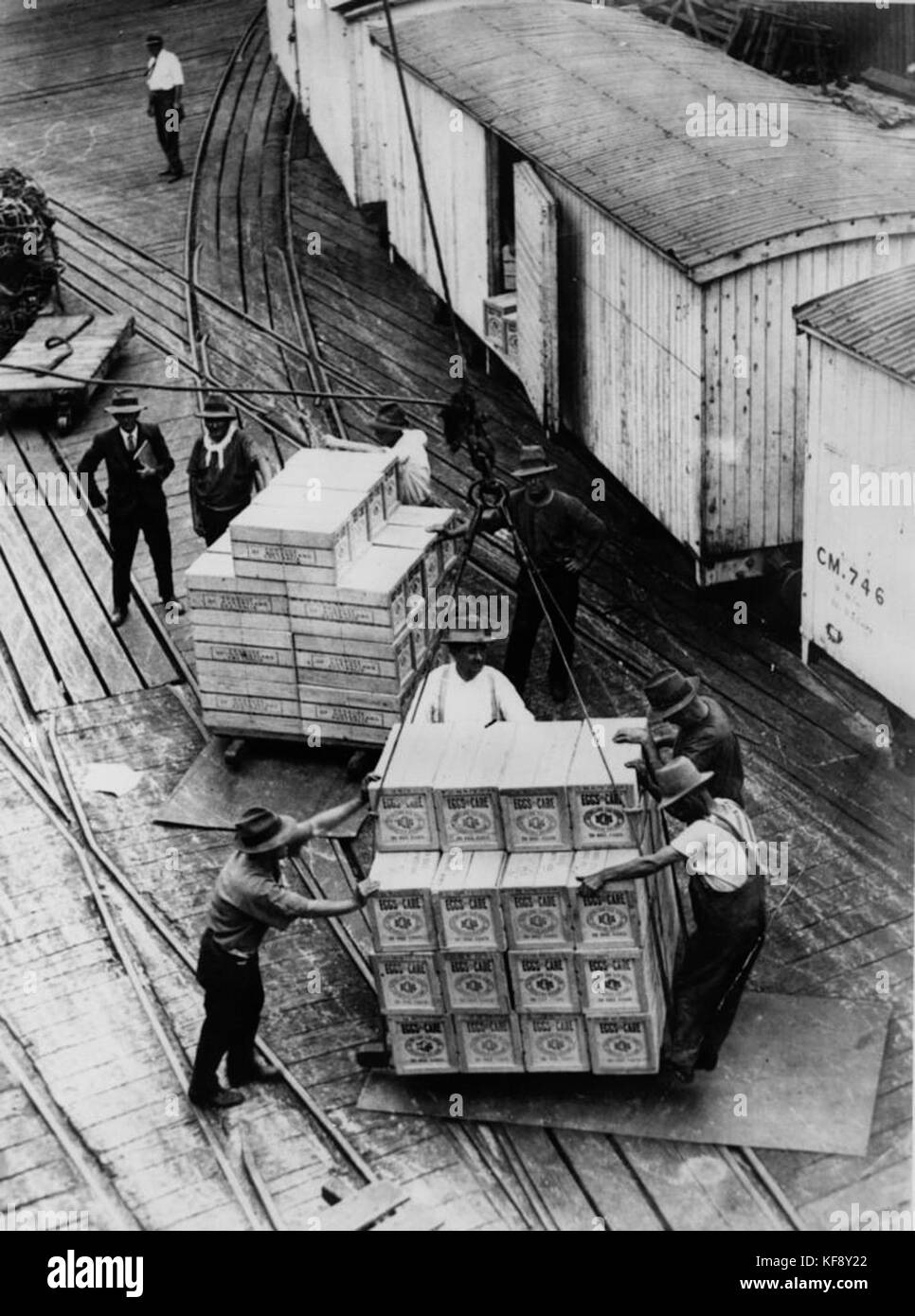 1 124481 Loading eggs at the Dalgety Wharf in Brisbane, 1931 Stock ...