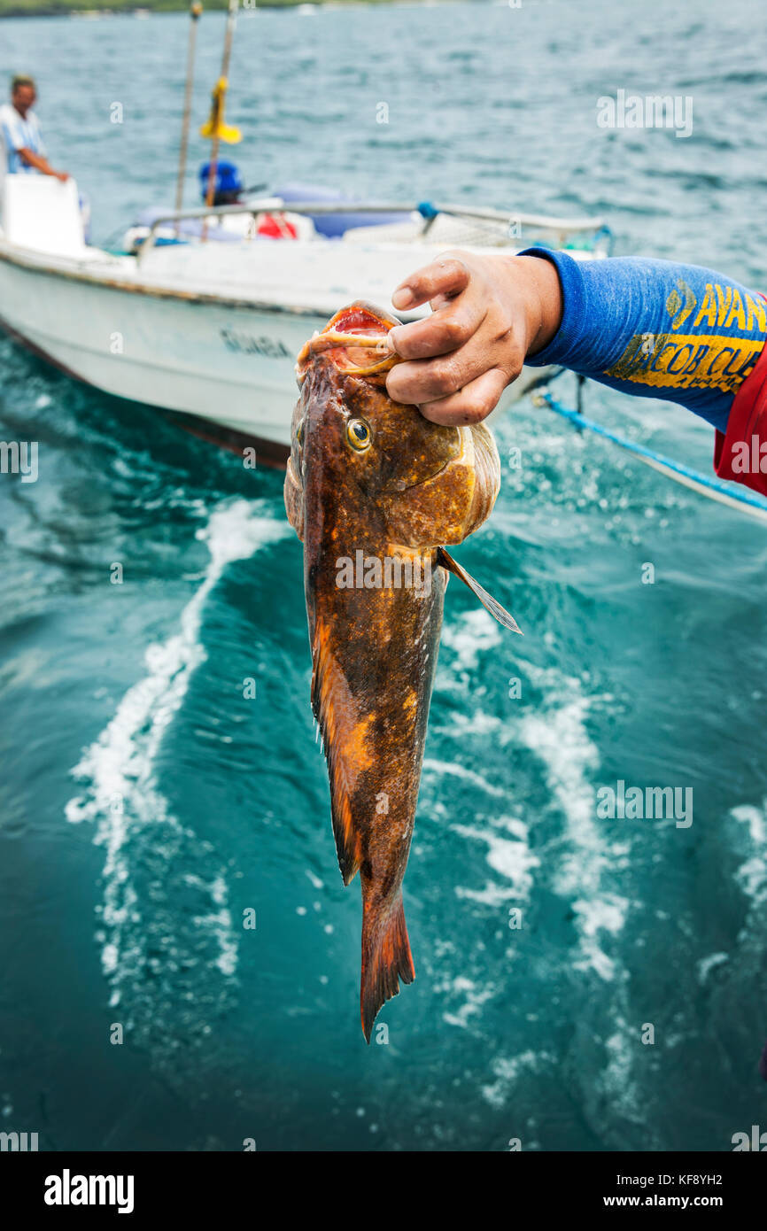 GALAPAGOS ISLANDS, ECUADOR, local fishermen sell fish to the M/C Ocean ...