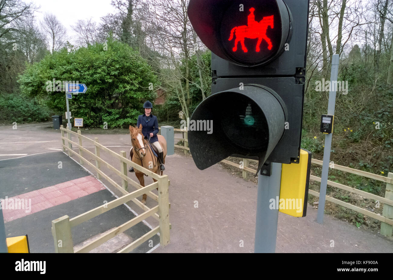 Hilary Sorroy of Forest Row, using the first pegasus crossing in the ...