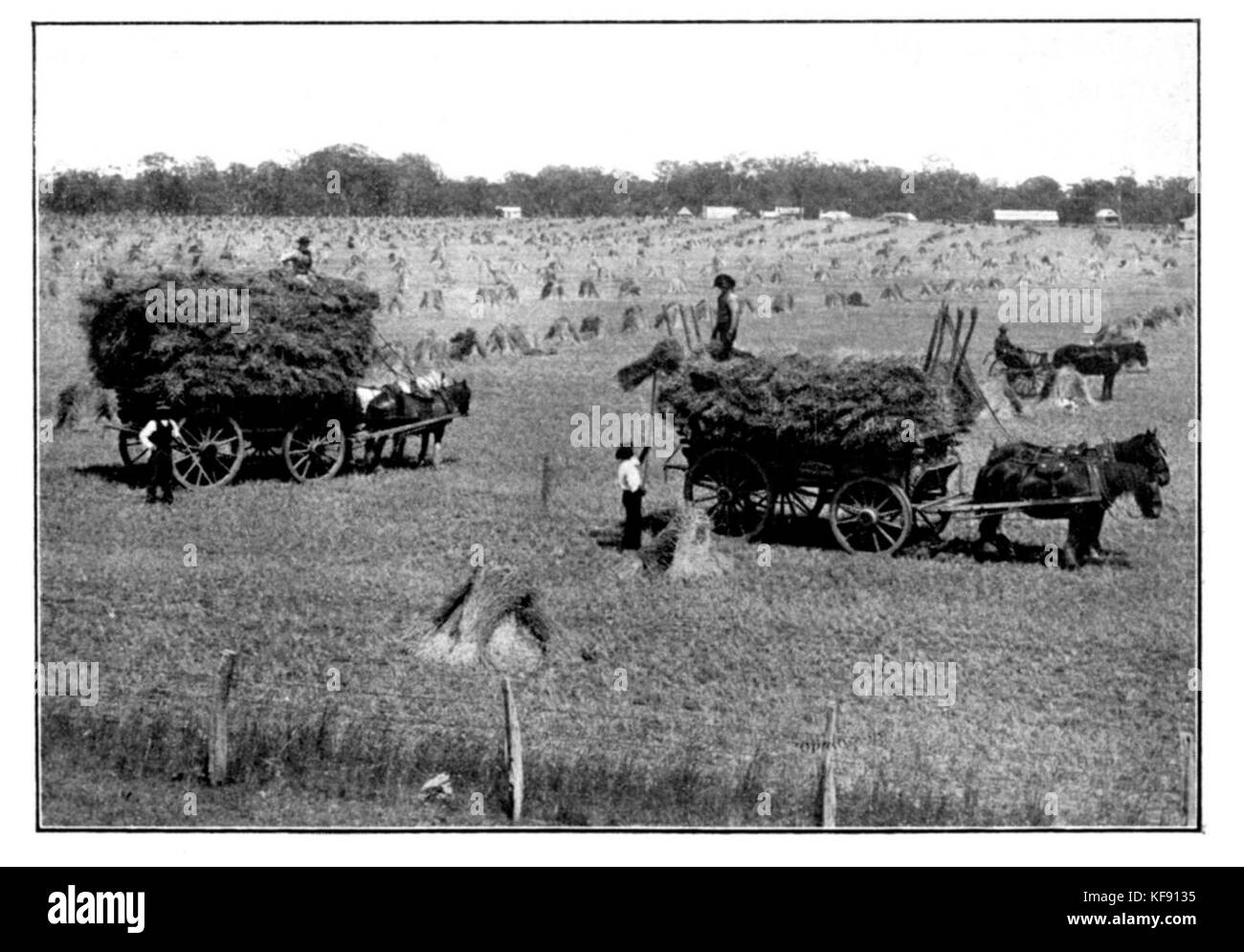 Undocumented image or record labeled I017; no identifiable subject ...