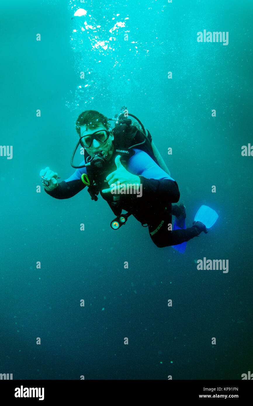 GALAPAGOS ISLANDS, ECUADOR, individuals diving in the waters near ...