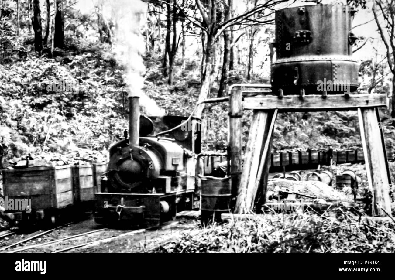 NSW Burra at Corrimal Stock Photo - Alamy