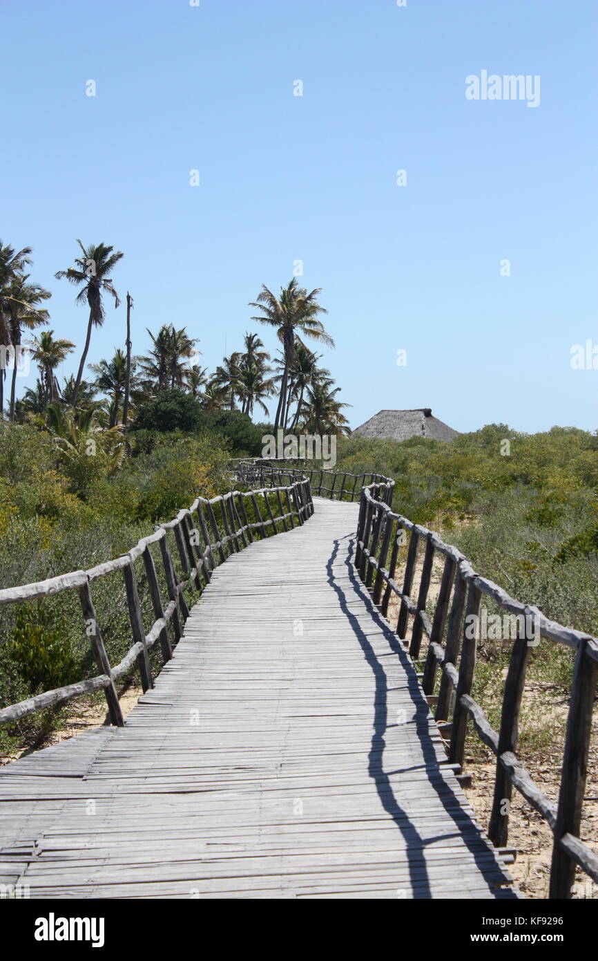 Foot paths hi-res stock photography and images - Alamy