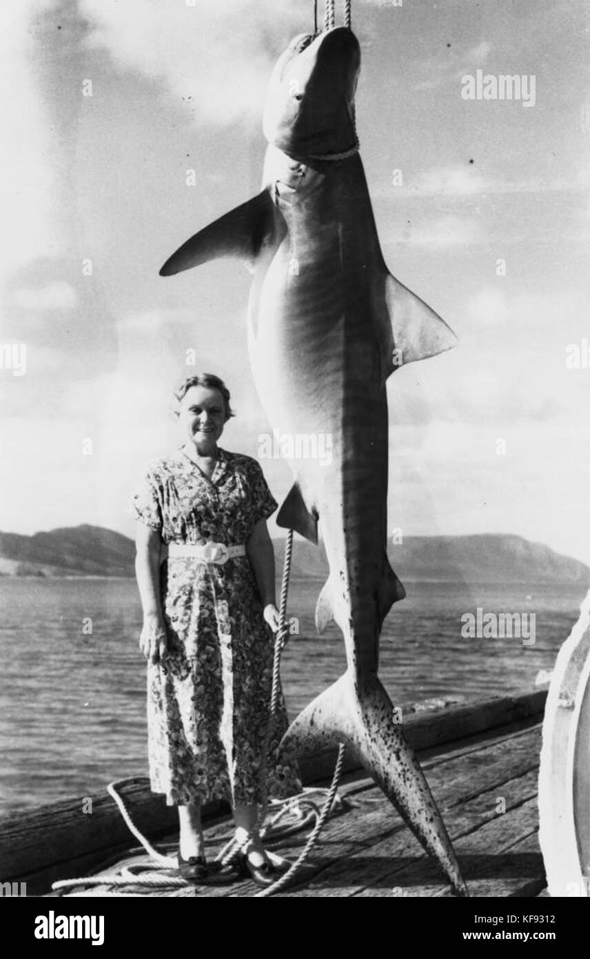1 115912 Woman standing next to a large shark hanging by rope on the ...